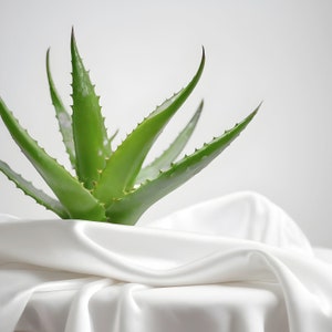 Vegan Aloe-vera Silk Fabric by the Yard, 44 Inches Wide, 135 GSM - Etsy