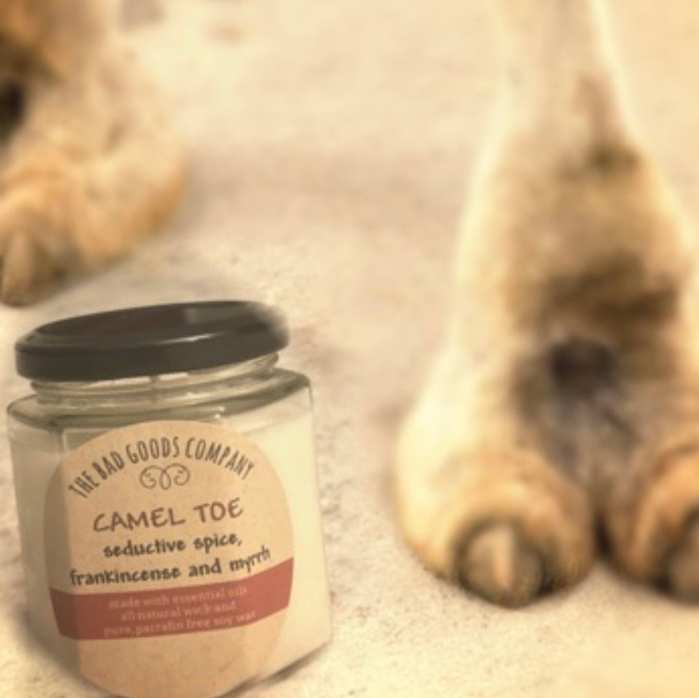 Camel Toe Candle Seductive Spice Frankincense and Myrrh - Etsy