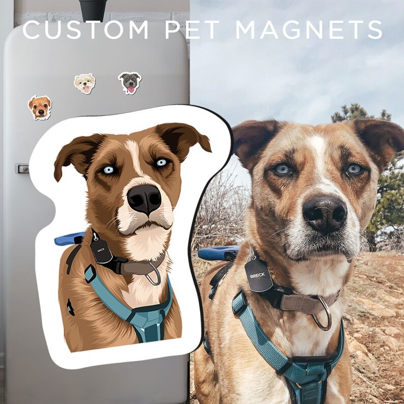Personalized Dog Magnets Hand Drawn Custom Pet Magnets - Etsy