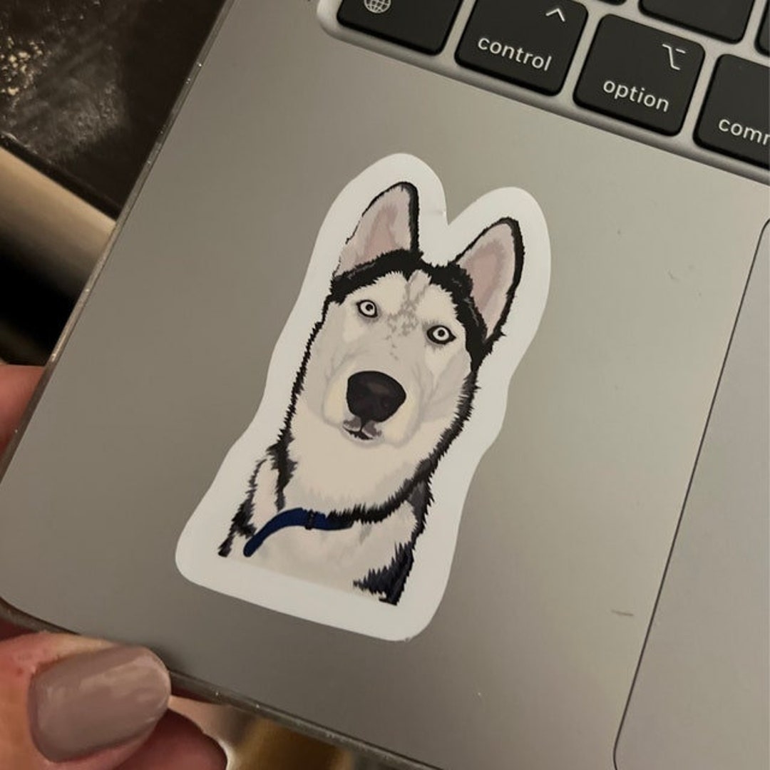 Matching Stickers - Existing Order Addon - Etsy