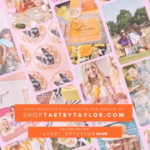 Designer Big Cats Acrylic Drink Coasters - Coffee Table, Bar Cart, Desk ...