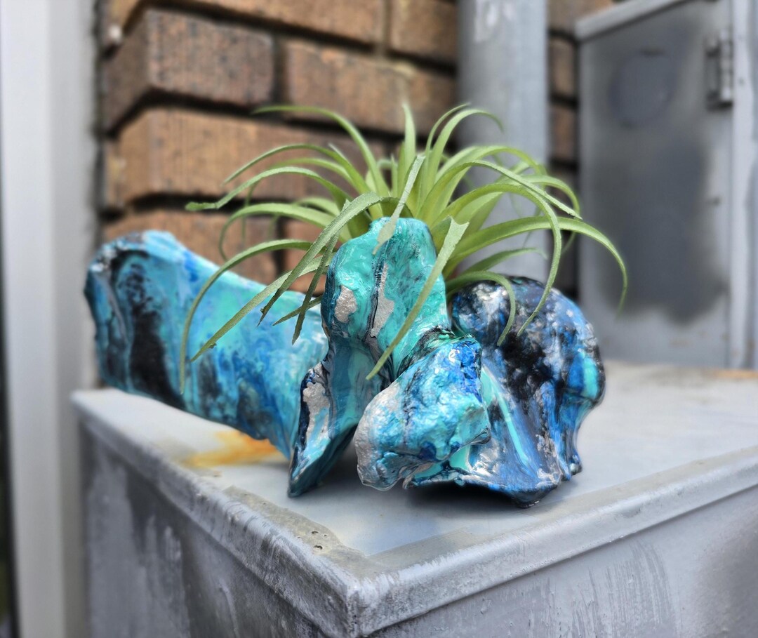 Cow Vertebrae, Painted (blue/teal) - Etsy