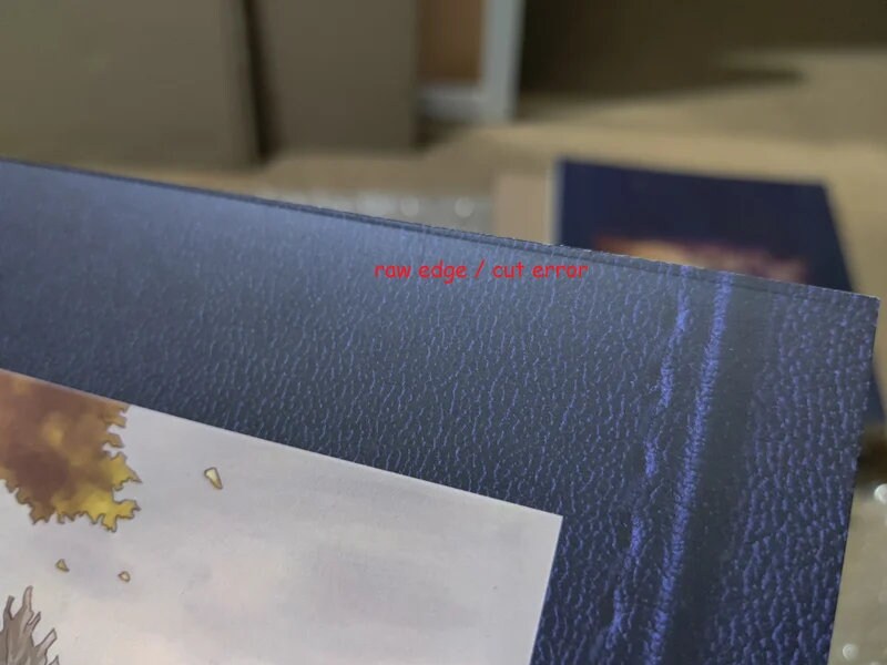 B GRADES Proof That We Existed: A Crisis Core Scrapbook Zine Physical ...