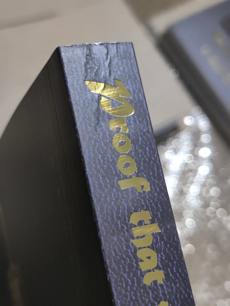 B GRADES Proof That We Existed: A Crisis Core Scrapbook Zine Physical ...