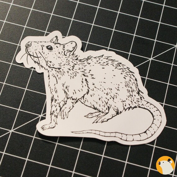 Cute Smiling Rat 3x Hand Drawn Matt Ink Rat Stickers | Etsy