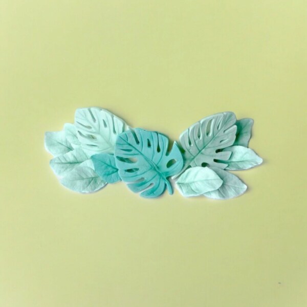 Monstera Leaf Cake - Etsy