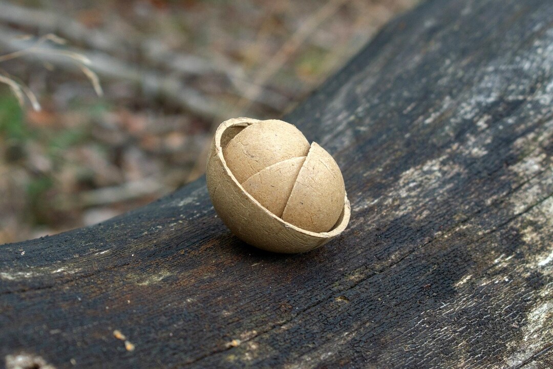 Hollow Sphere Made of Cardboard - Etsy