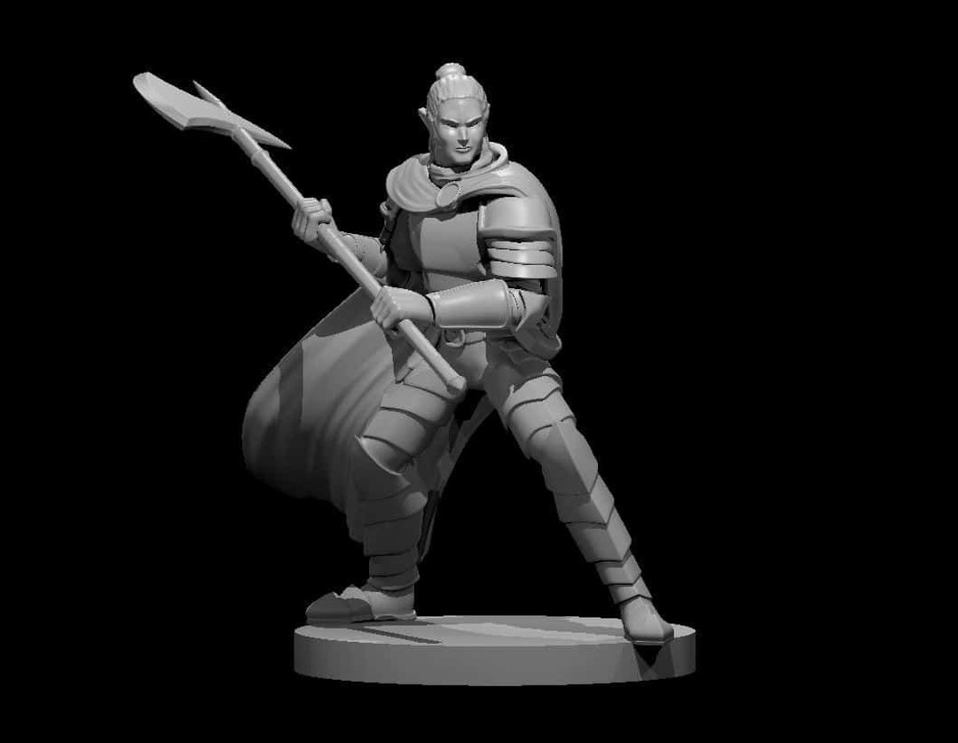 3D Printed Miniature: Elf Male Paladin With Halberd by Mz4250 - Etsy