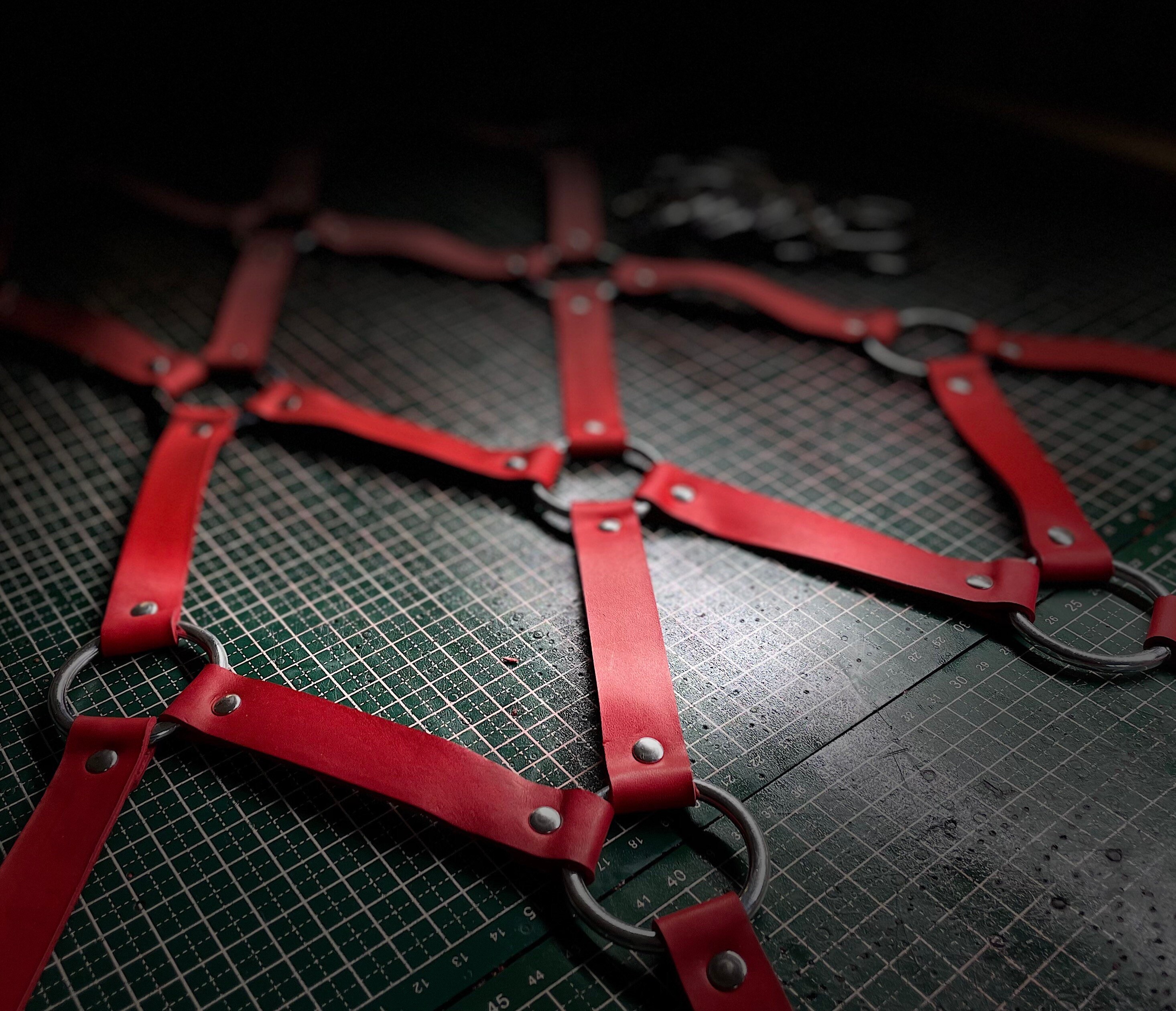 LEATHER HARNESS PATTERN Pdf File - Etsy