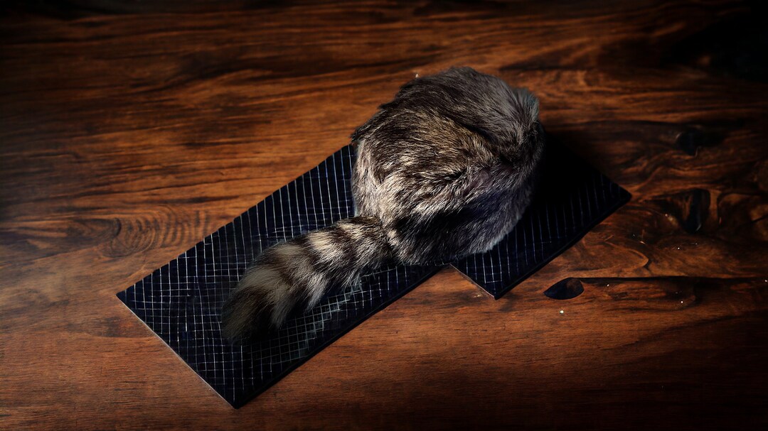 Coonskin Cap PDF - Vorlage für Trappermützen - Kunstpelz oder Echtpelz ...