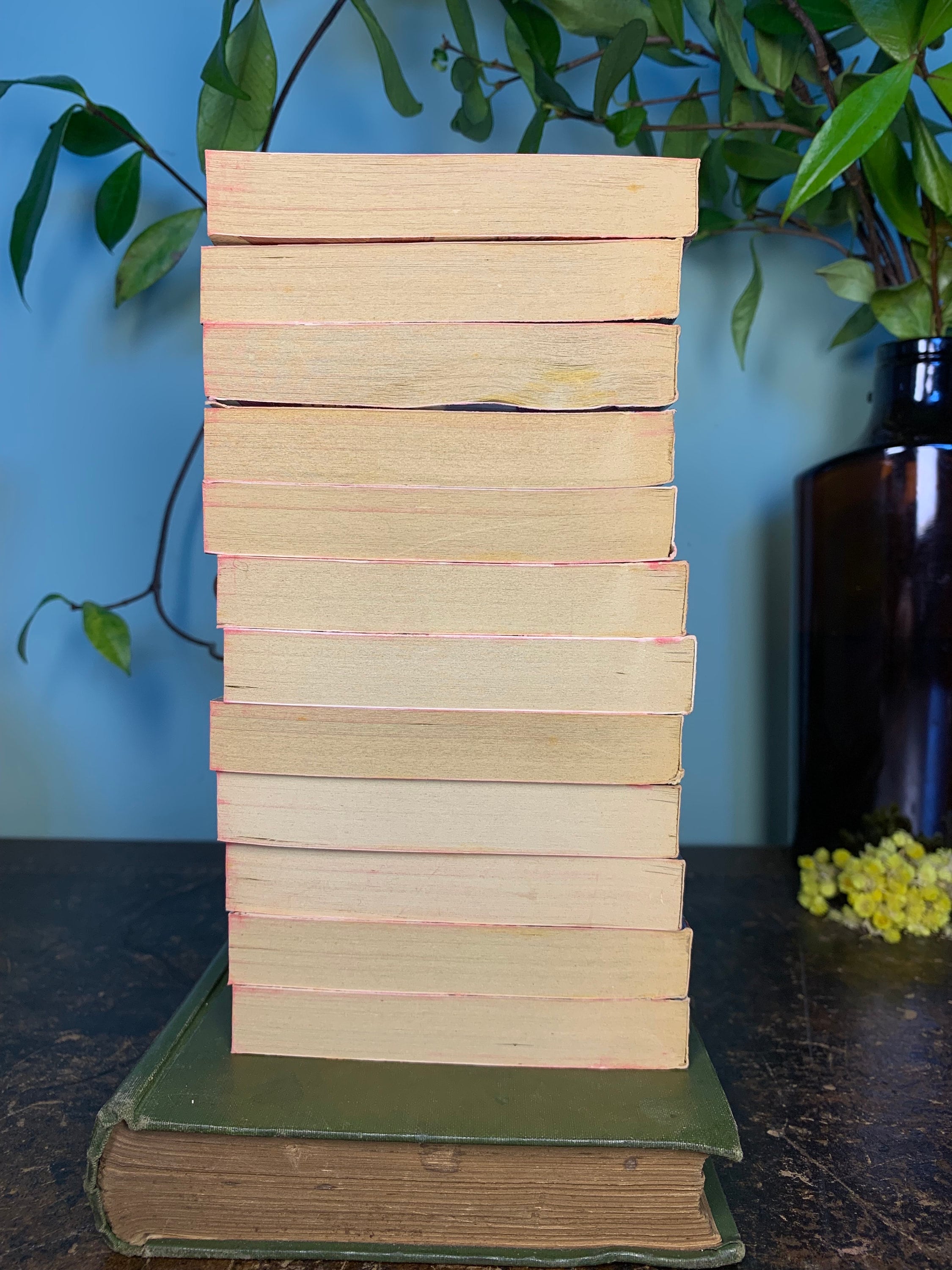 Moby Books Set of 12 Illustrated Children's Classics | Pocket Books - Etsy