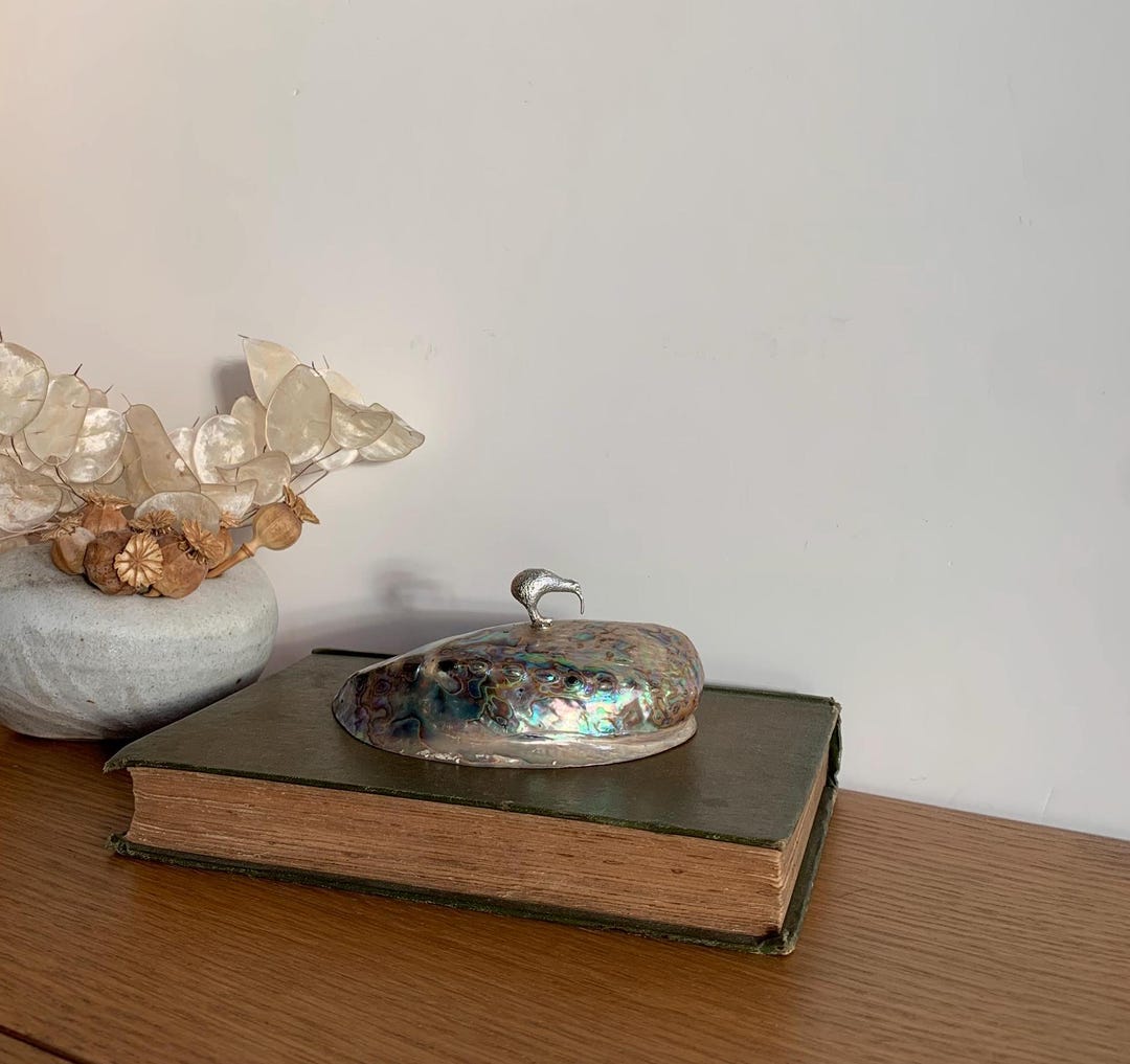 Vintage New Zealand Kiwi Paua Genuine Shell Paperweight B-1 - Etsy
