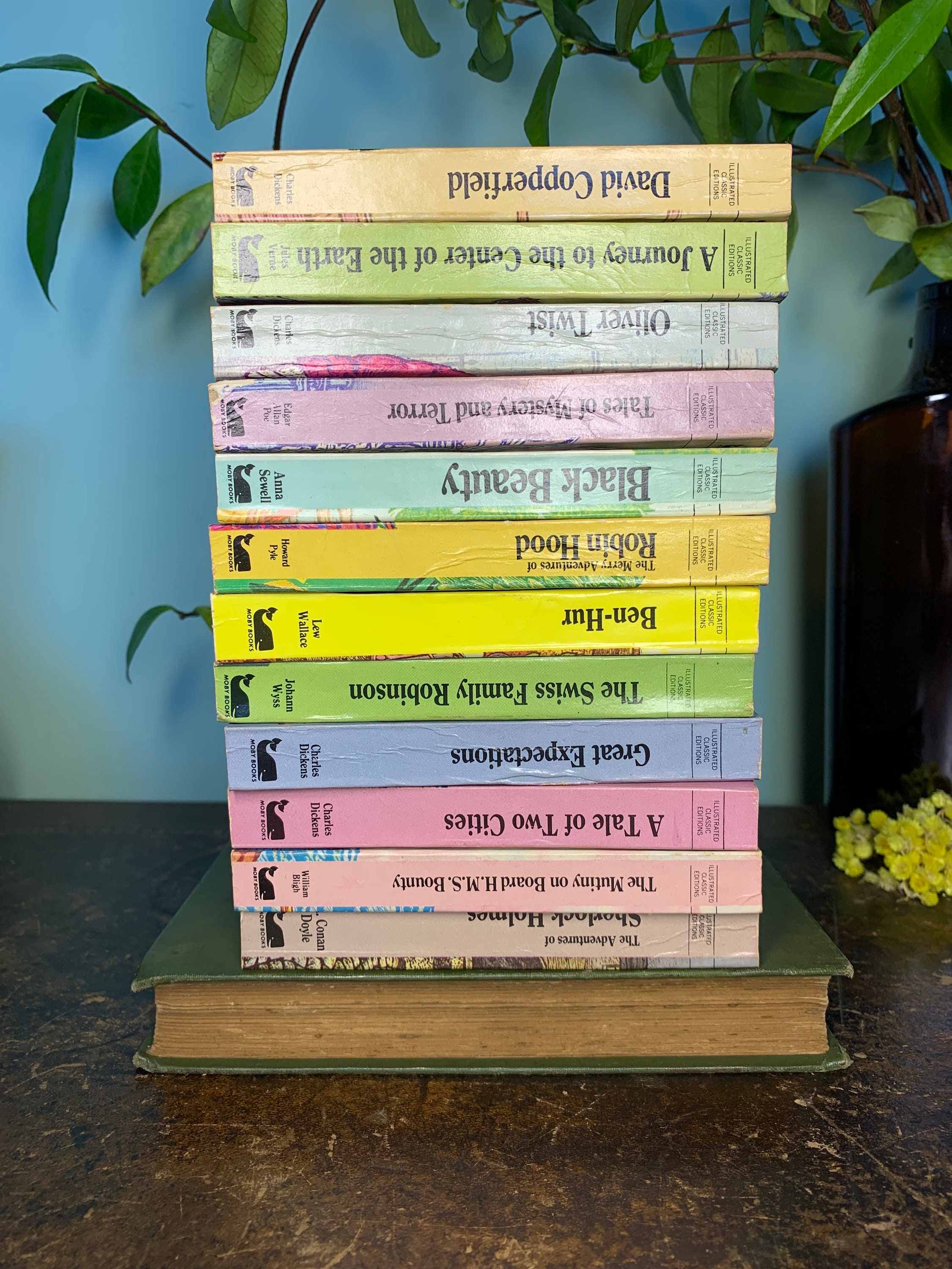 Moby Books Set of 12 Illustrated Children's Classics | Pocket Books - Etsy