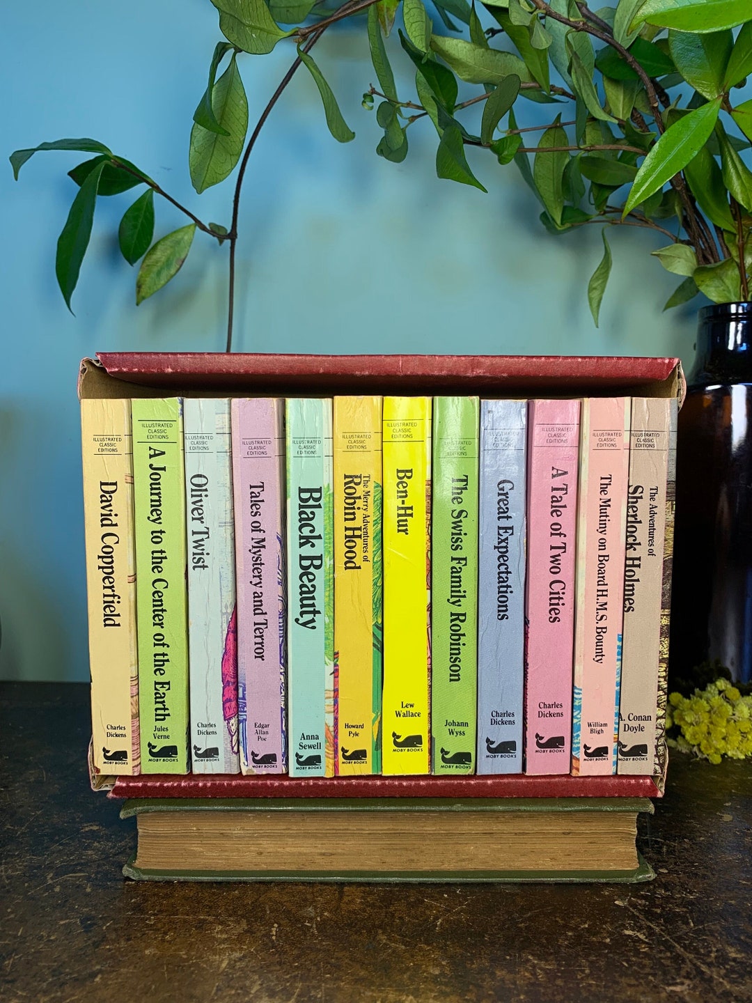 Moby Books Set of 12 Illustrated Children's Classics | Pocket Books - Etsy
