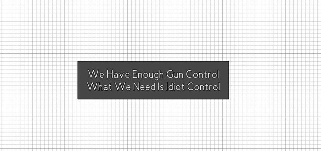 We Have Enough Gun Control We Need More Idiot Control : Gun Control ...