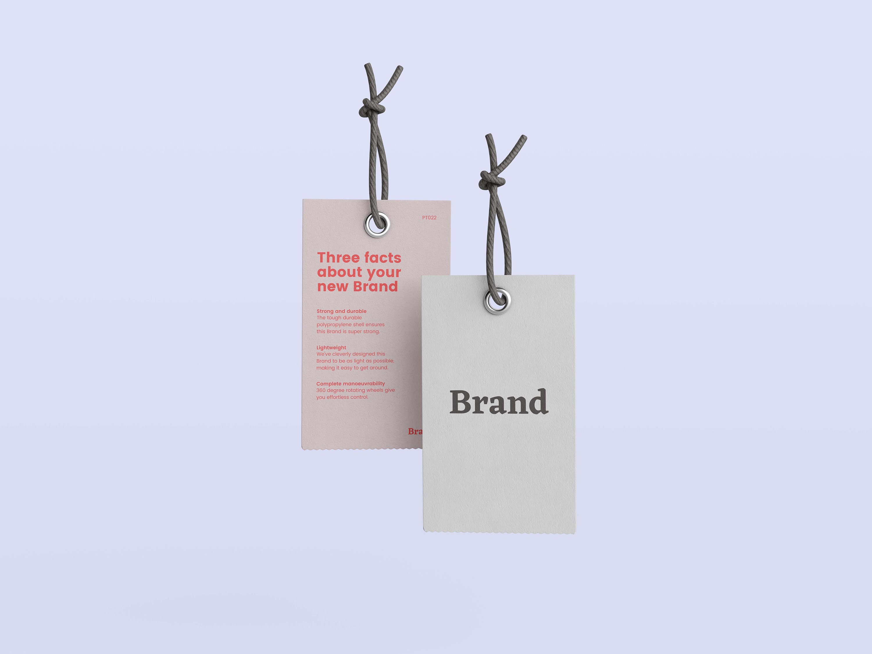 DIY Editable Canva Template, Brand Tag Template, Digital Download, Diy ...
