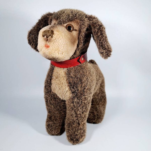 Antique Steiff Dog - Etsy