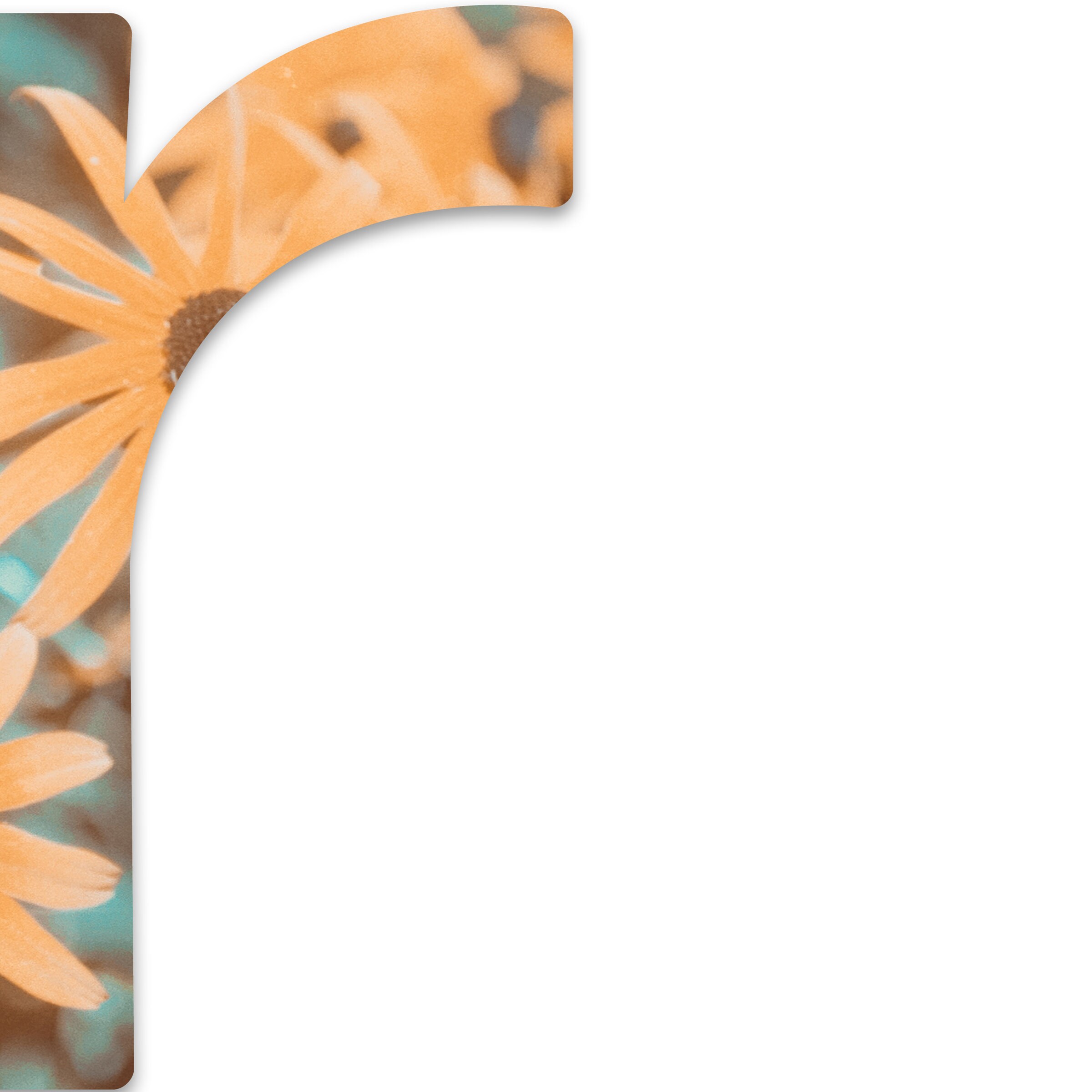 DIGITAL DOWNLOAD R Monogram Nature Photography Art Print | Minimalist ...