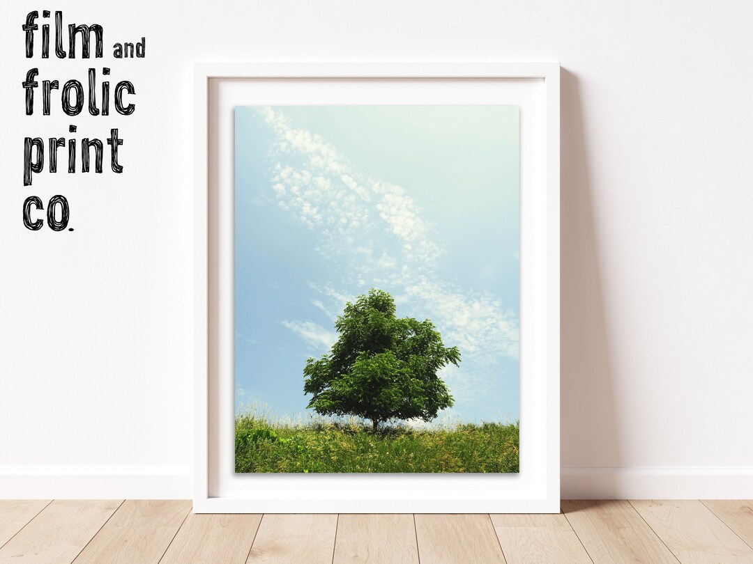 Single Tree Landscape Photography Art Print, Farmhouse Decor (digital ...