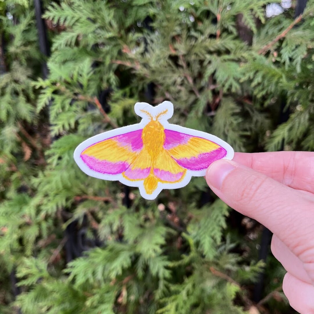 Rosy Maple Moth Die Cut Sticker - Etsy