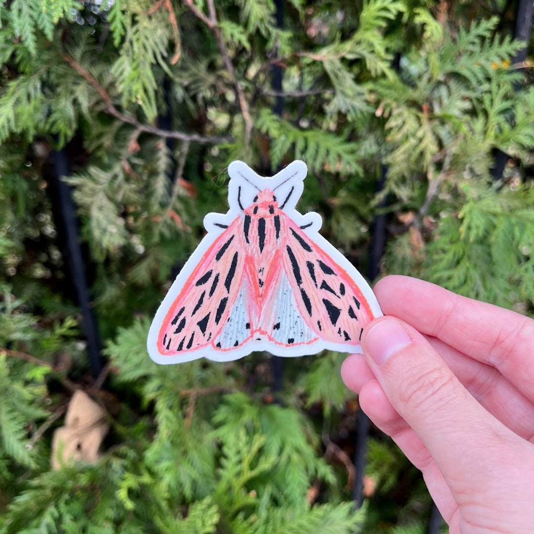Arge Tiger Moth Die Cut Sticker - Etsy