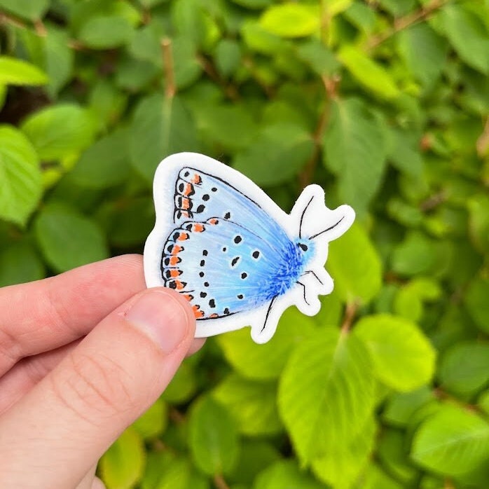 Eastern Tailed Blue Butterfly Die Cut Sticker - Etsy