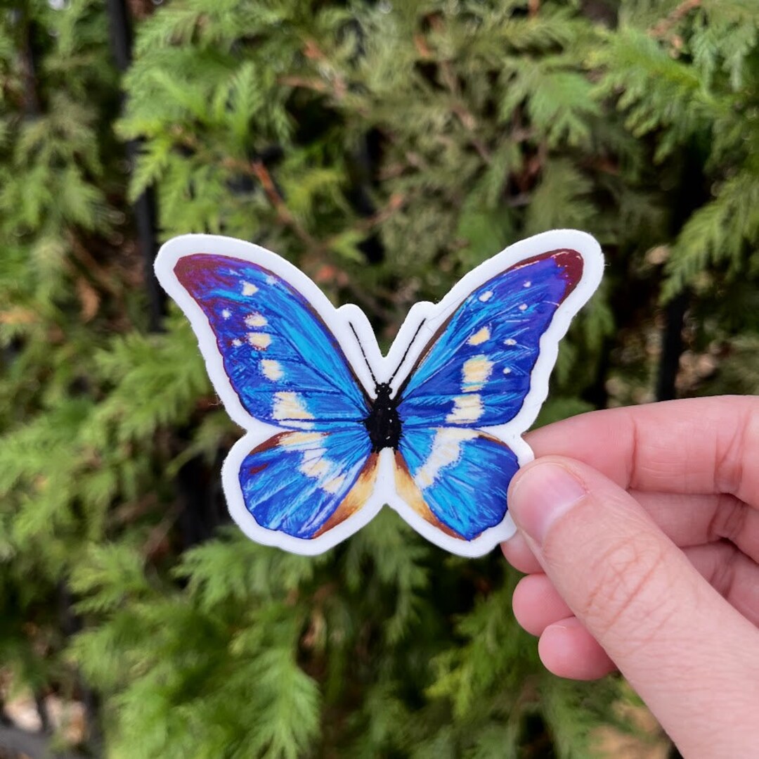 Blue Morpho Butterfly Die Cut Sticker - Etsy