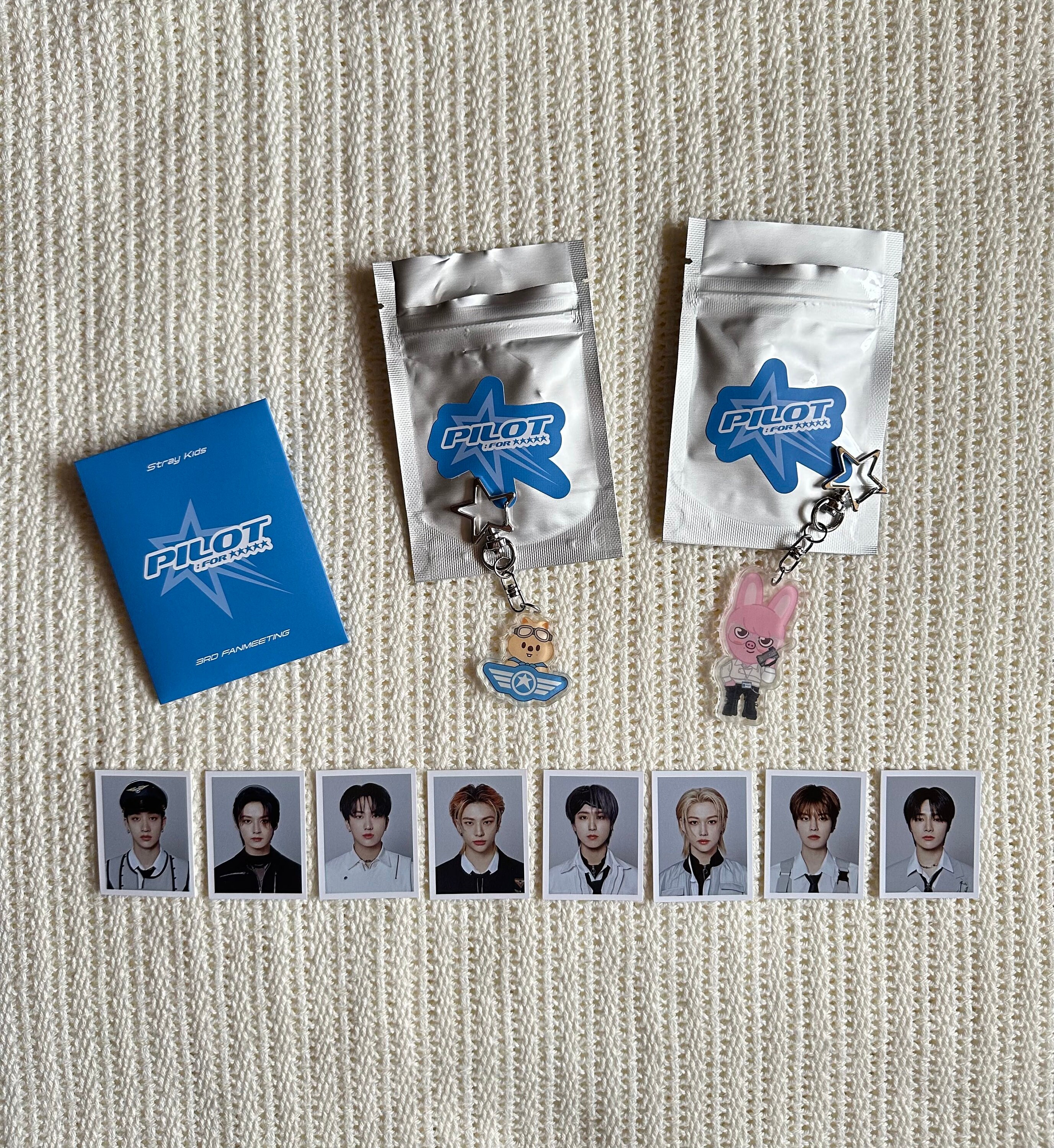 Official Skzoo Plushies Stray Kids SKZ Pilot Japan MD Wolfchan Leebit ...