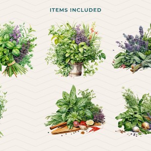 Watercolor Herbs and Spices Clipart Set, Food Clipart, Herb and Spice ...
