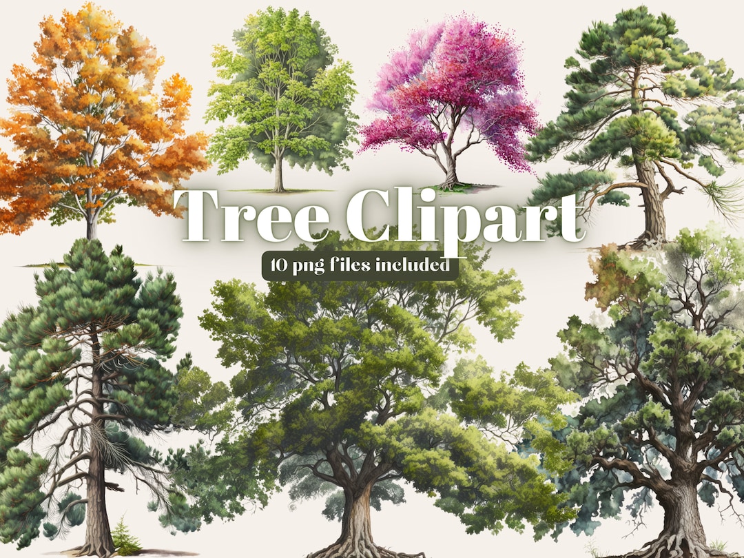 Tree Watercolor Clipart, Beautiful Trees Png, Landscape Art, Forest ...