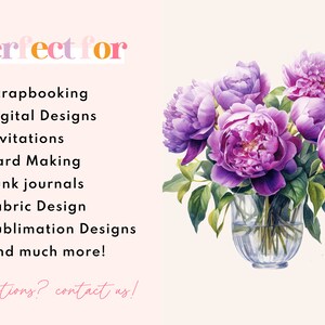 Purple & White Peonies Watercolor Clipart, Floral Clipart, Summer ...