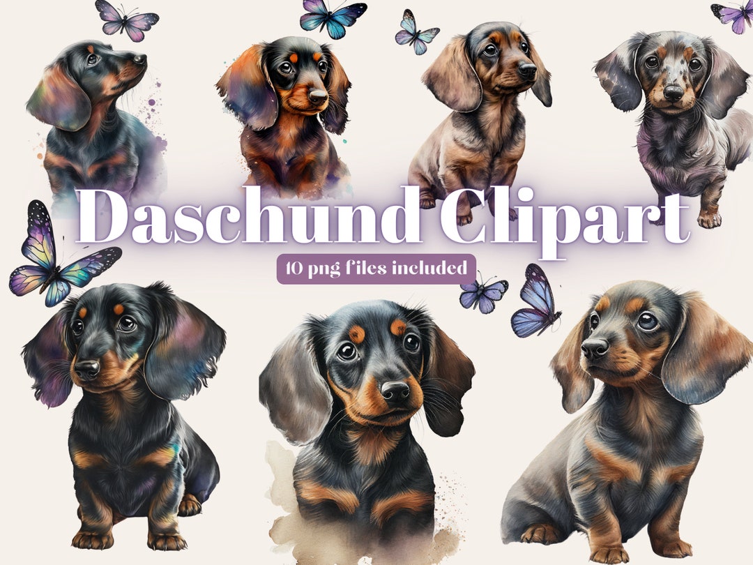 Watercolour Dachshund Puppies Clipart - Sausage Dog PNG Digital Image ...