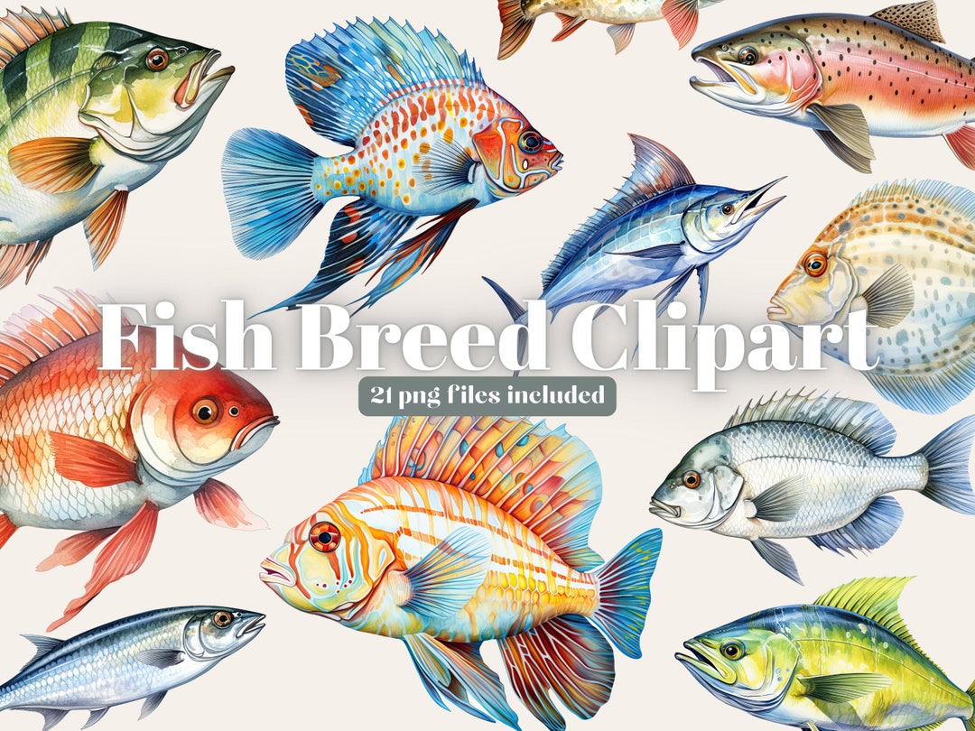 Fish Clipart, Fishing Clipart, Nautical Clipart, Fish Digital Download ...