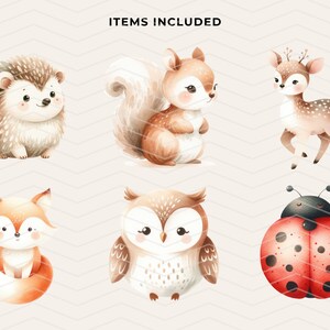 Woodland Animals, Watercolor Forest Animals PNG, Forest Baby Animals ...