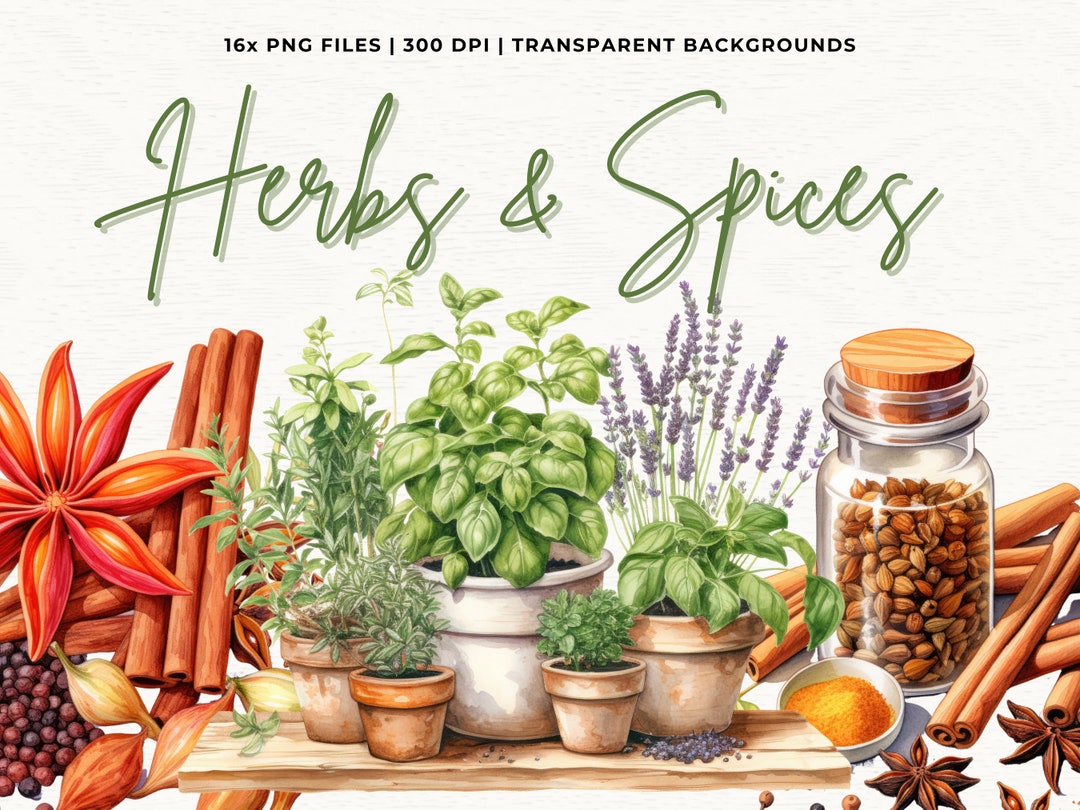 Watercolor Herbs and Spices Clipart Set, Food Clipart, Herb and Spice ...
