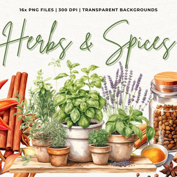 Watercolor Herbs - Etsy