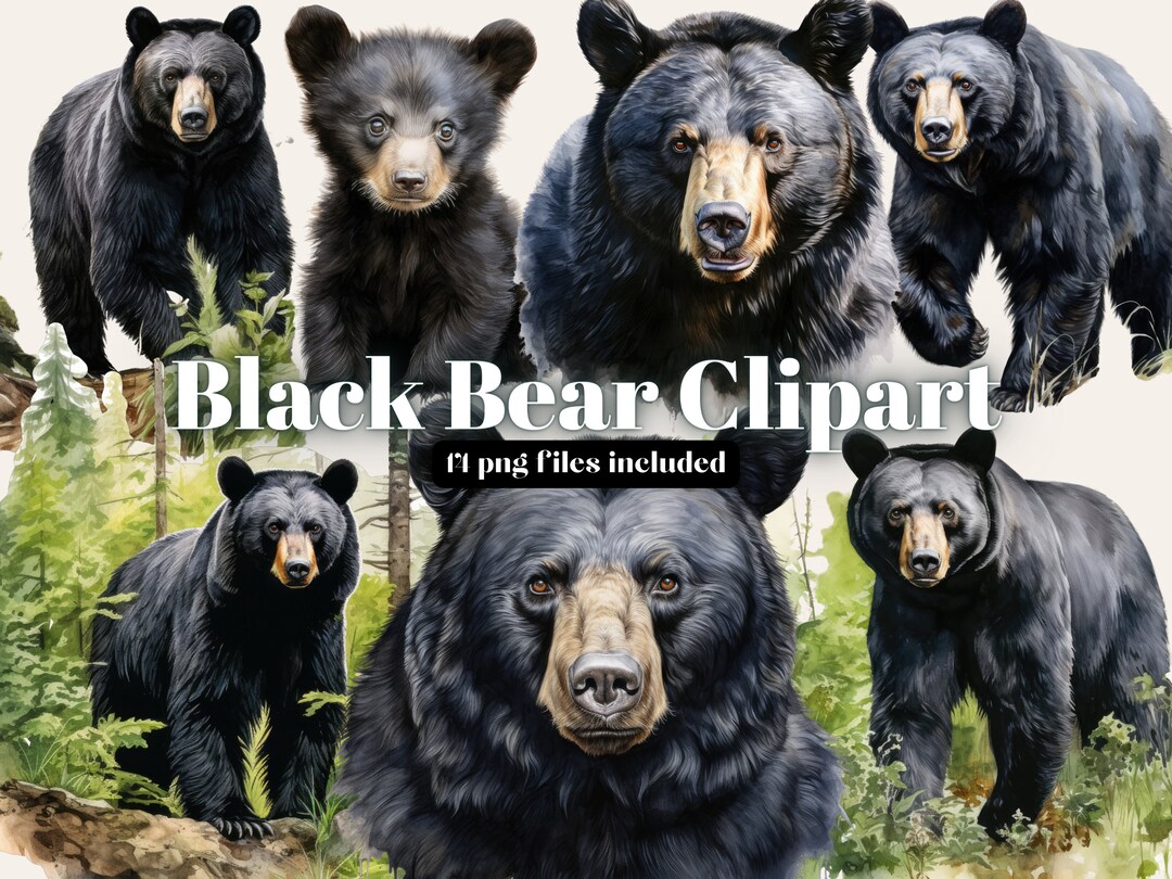Watercolor Black Bears Clipart, Cute Floral Black Bears, Forest Animals ...