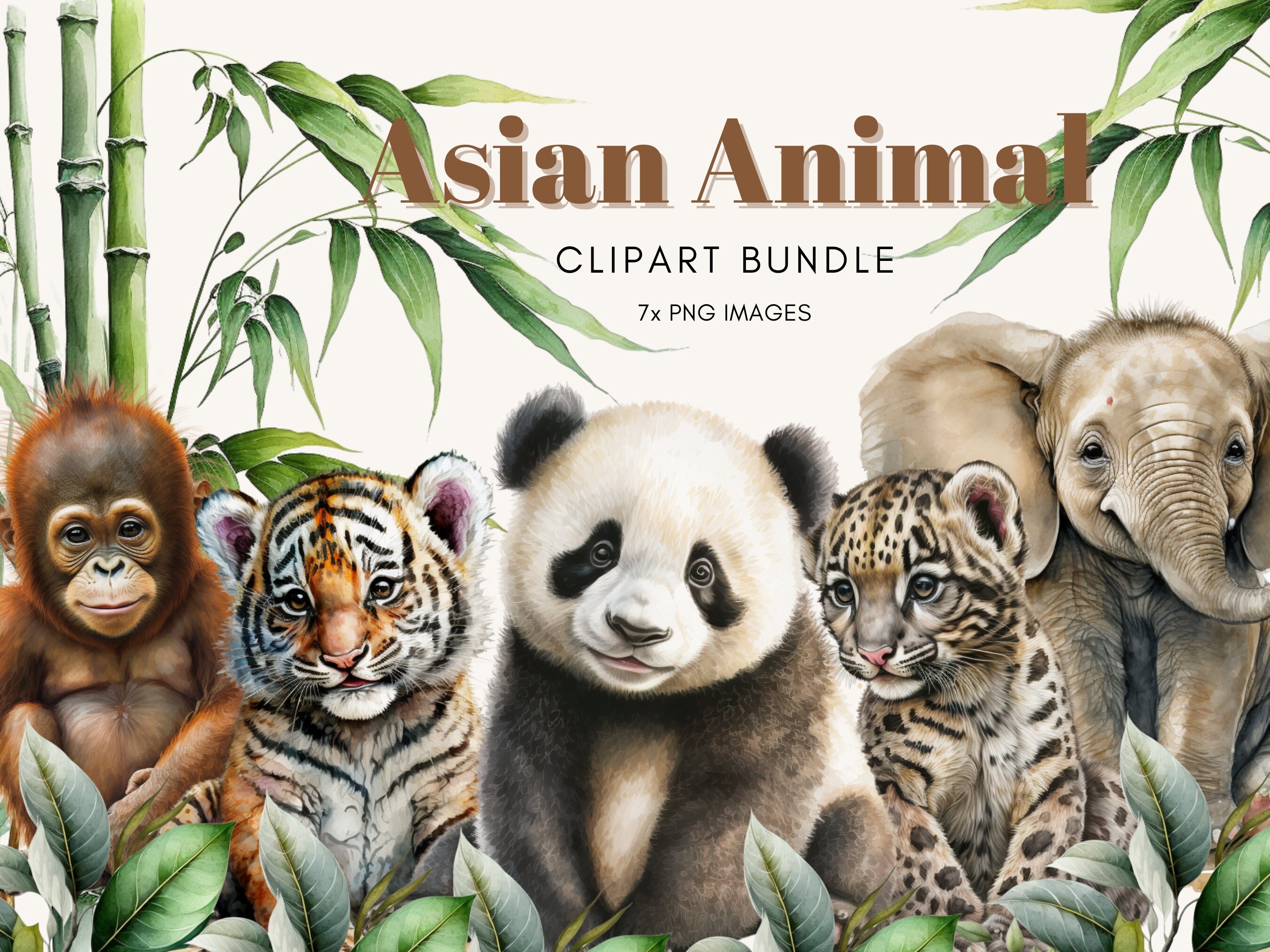 Baby Asian Animal Clipart Bundle Watercolor Panda Tiger - Etsy UK