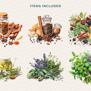 Watercolor Herbs and Spices Clipart Set, Food Clipart, Herb and Spice ...