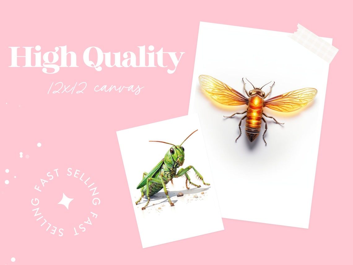 Watercolor Bugs Watercolor Insects Spider Butterfly Clipart - Etsy