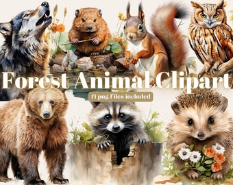 Woodland Baby Animals Clipart Watercolor, Clipart for Commercial Use ...
