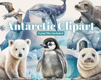 Cute Christmas Polar Bear Clipart Images Polar Bear Clip Art - Etsy