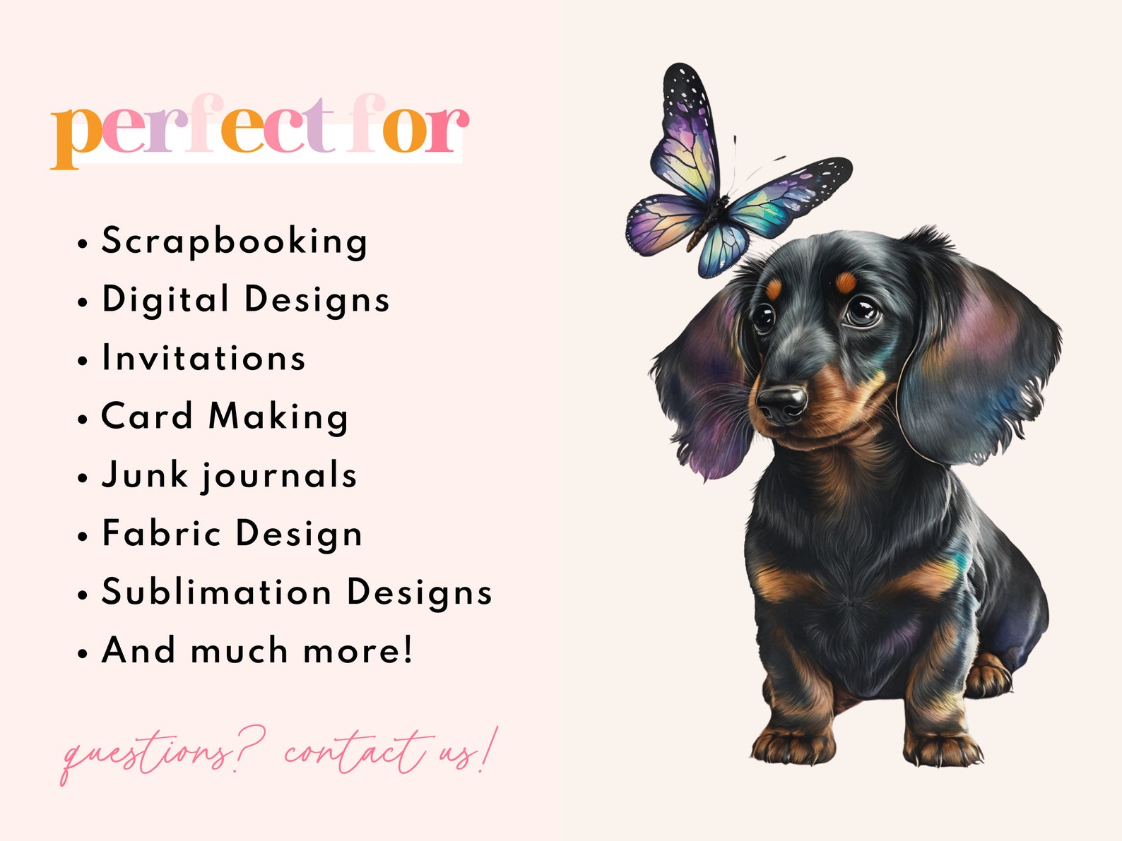 Watercolour Dachshund Puppies Clipart Sausage Dog PNG - Etsy