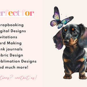 Watercolour Dachshund Puppies Clipart - Sausage Dog PNG Digital Image ...