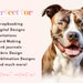 80 Dogs Clipart PNG Watercolor Puppy Clipart Bundle Pet - Etsy