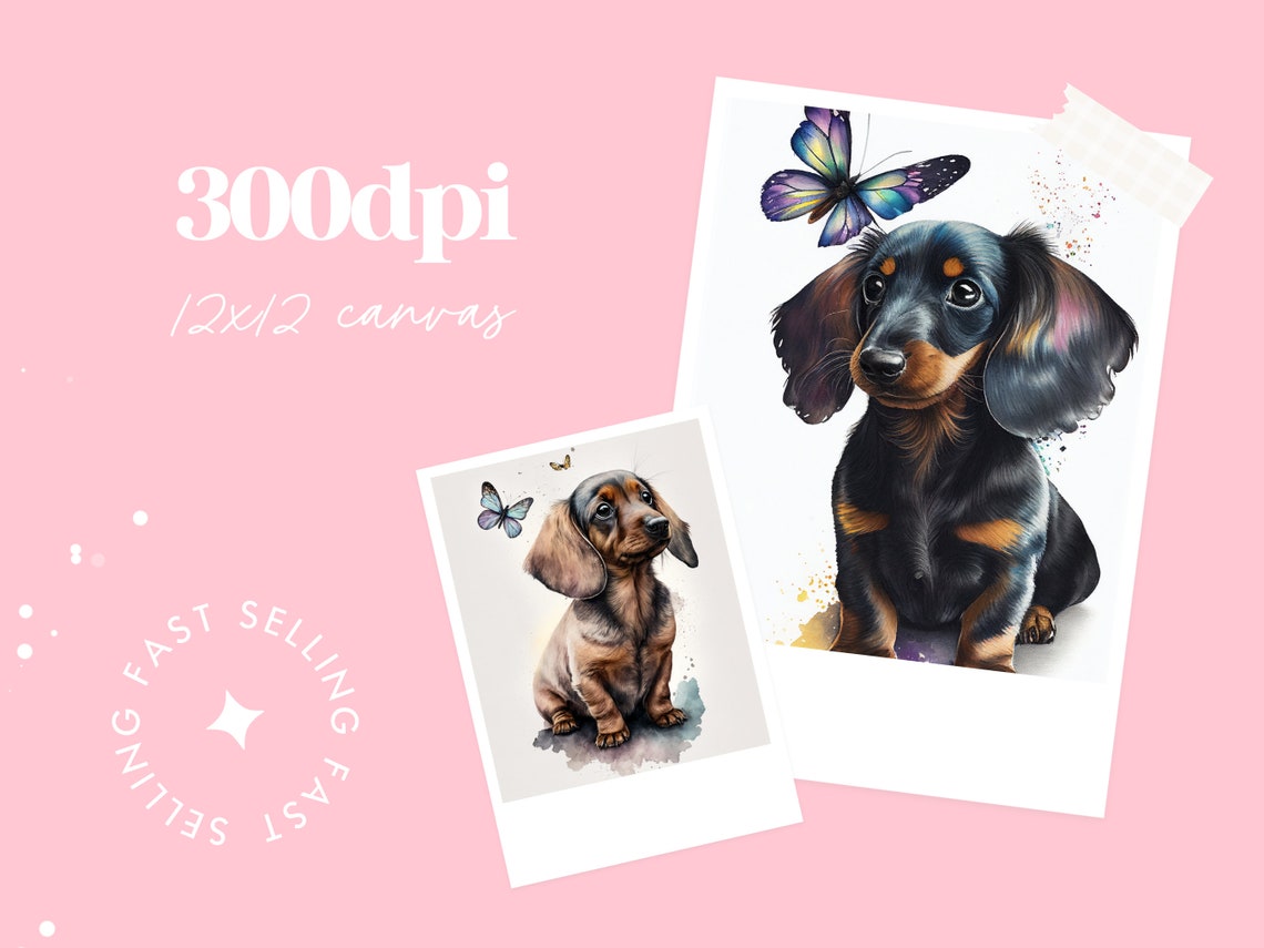 Watercolour Dachshund Puppies Clipart Sausage Dog PNG - Etsy