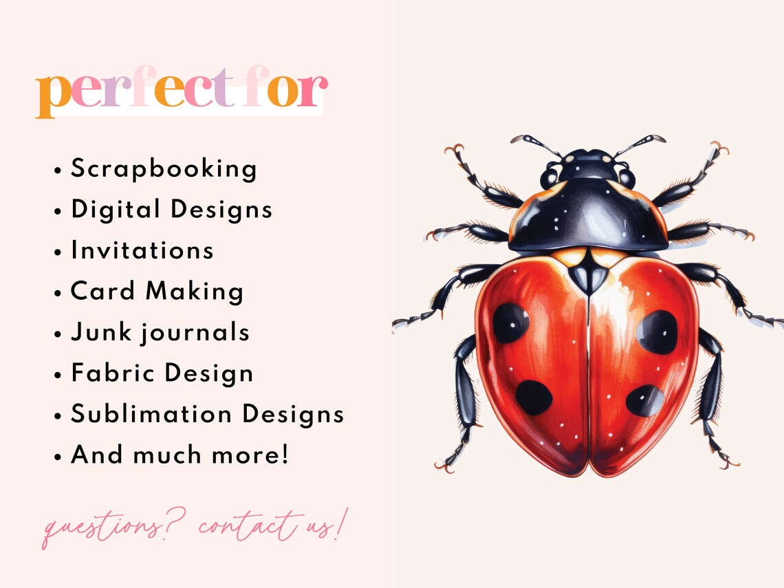 Watercolor Bugs Watercolor Insects Spider Butterfly Clipart - Etsy