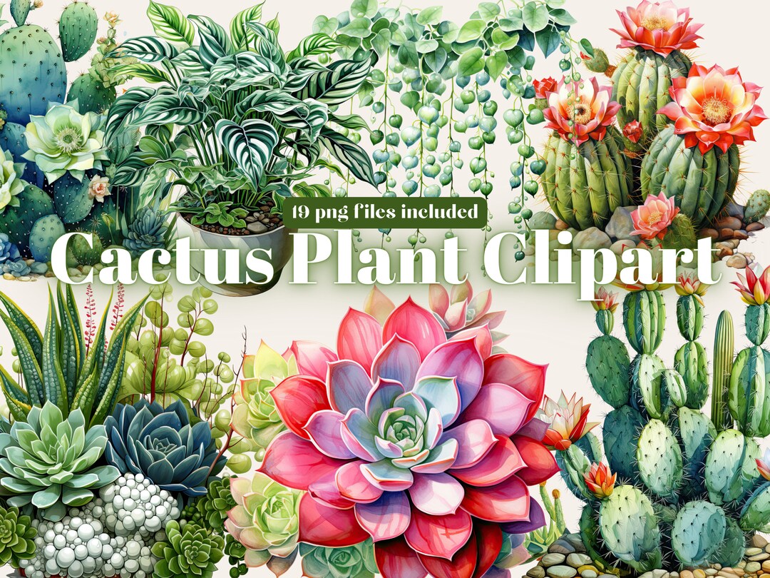 Watercolor Cactus Clipart, Succulent Clip Art PNG, Watercolor Cactus ...