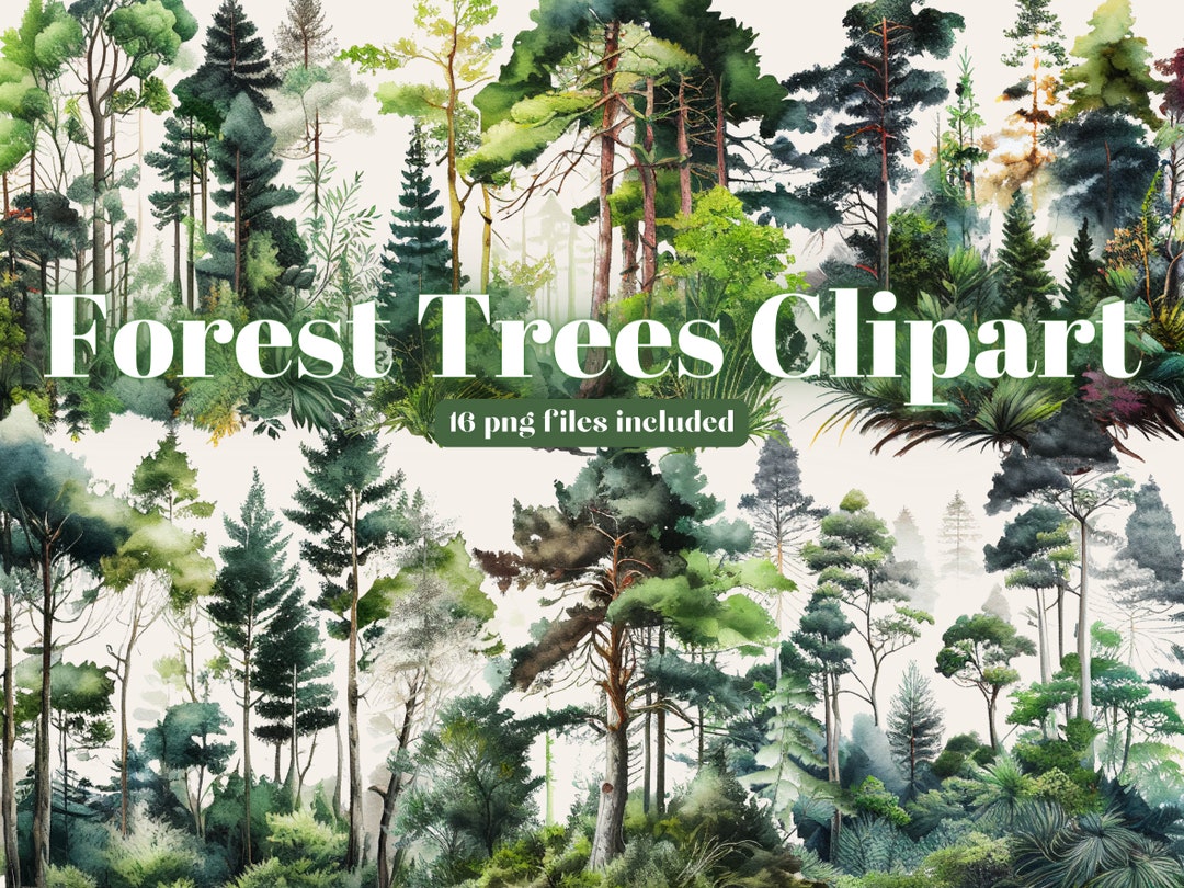 Watercolor Forest Clipart, Wood Clip Art, PNG, Free Commercial Use ...