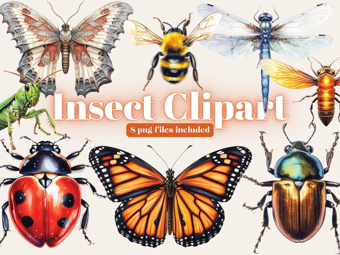 Watercolor Bugs - Watercolor Insects Spider Butterfly Clipart - Spring ...
